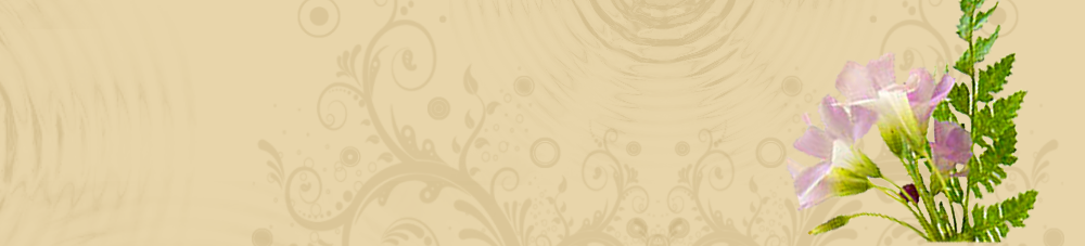 Home - Denise C. Crowley LCSW, Counseling Services